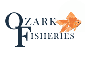 Wholesale Koi and Goldfish For Sale | Ozark Fisheries – Ozark Fisheries ...